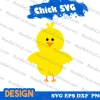 Chick SVG [ Download Now ] ️